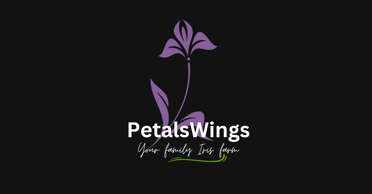 Products – Page 2 – PetalsWings